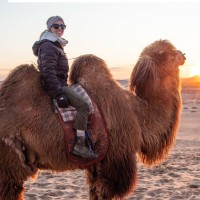 Breanna Wilson - Journalist Profile - Intelligent Relations